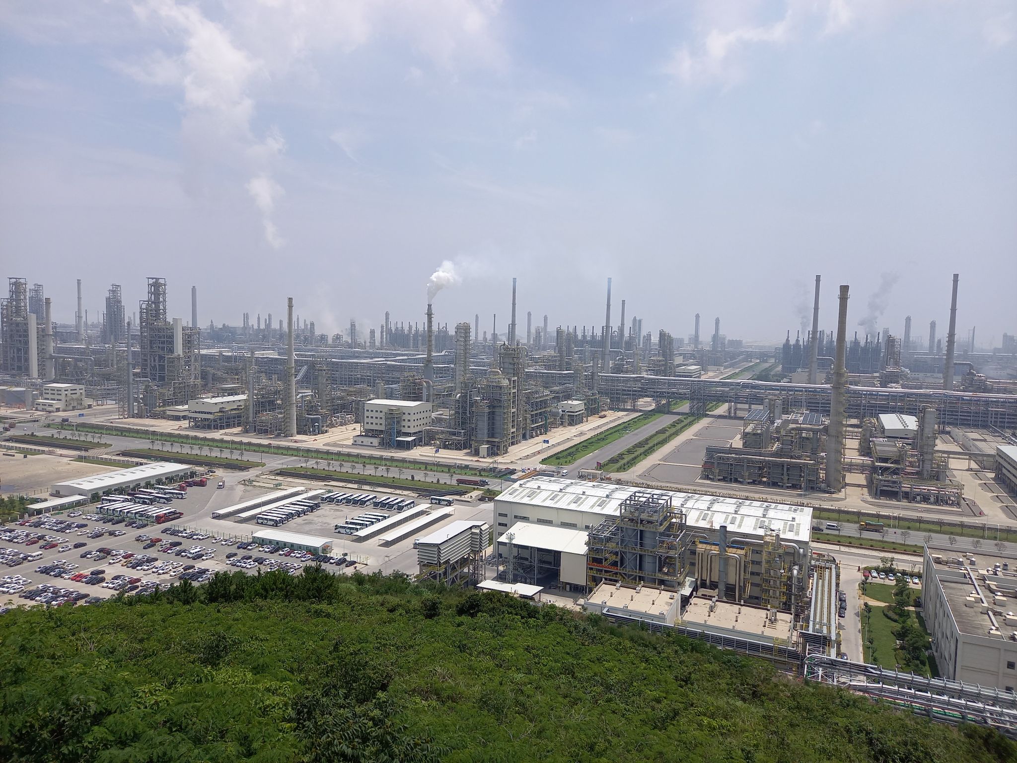 Upgrading petrochemical residues with Multiple Hearth Furnace technology